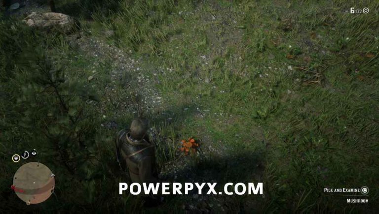 Red Dead Redemption 2 Plants Locations