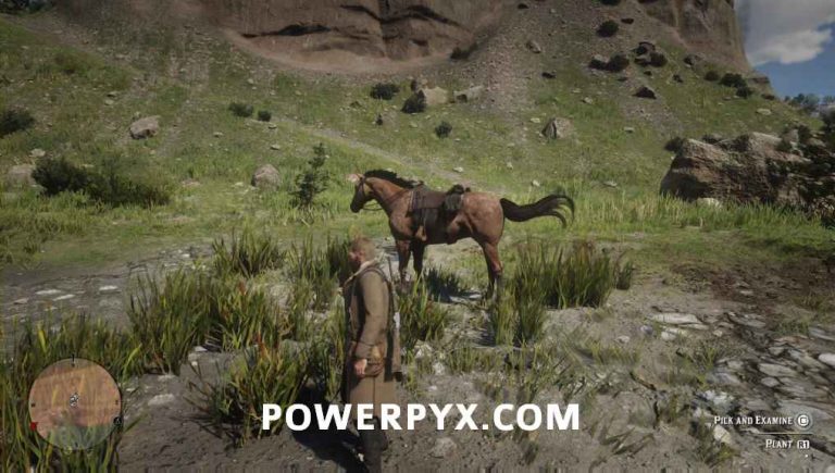 Red Dead Redemption 2 Plants Locations