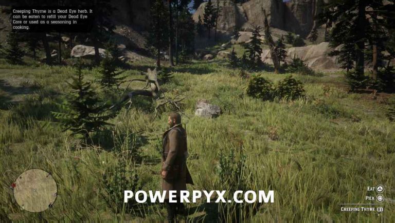 Red Dead Redemption 2 Plants Locations