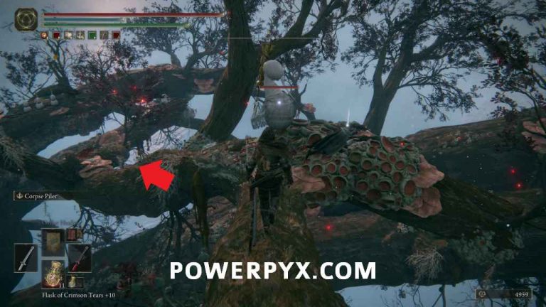 Elden Ring Miquella's Haligtree & Elphael Walkthrough