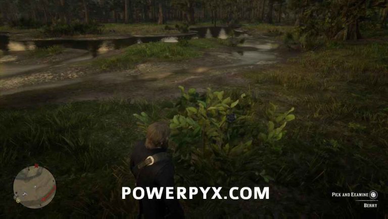 Red Dead Redemption 2 Plants Locations