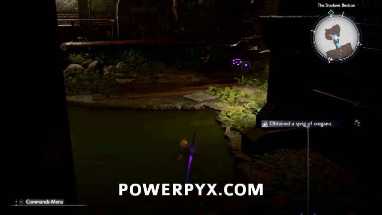 Final Fantasy 7 (VII) Rebirth Chapter 9: The Planet Stirs Walkthrough