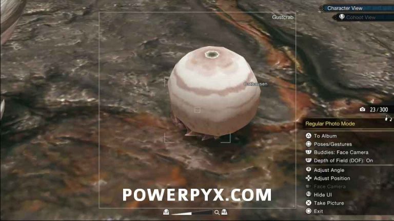 Monster Hunter Rise All Hunting Helpers Locations