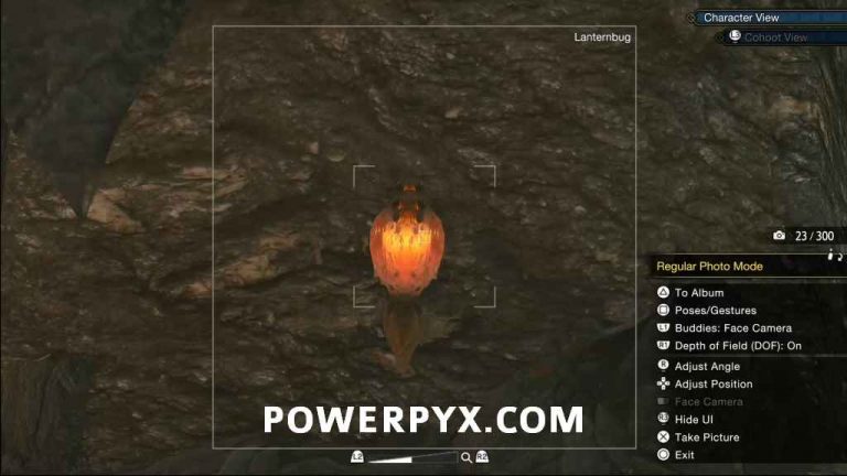 Monster Hunter Rise All Hunting Helpers Locations