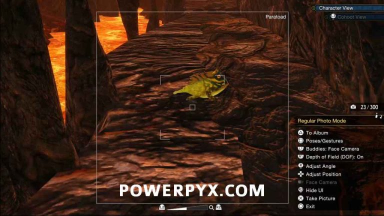 Monster Hunter Rise All Hunting Helpers Locations