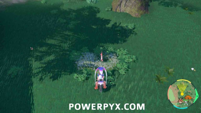 Pokemon Scarlet & Violet Reaper Cloth Location