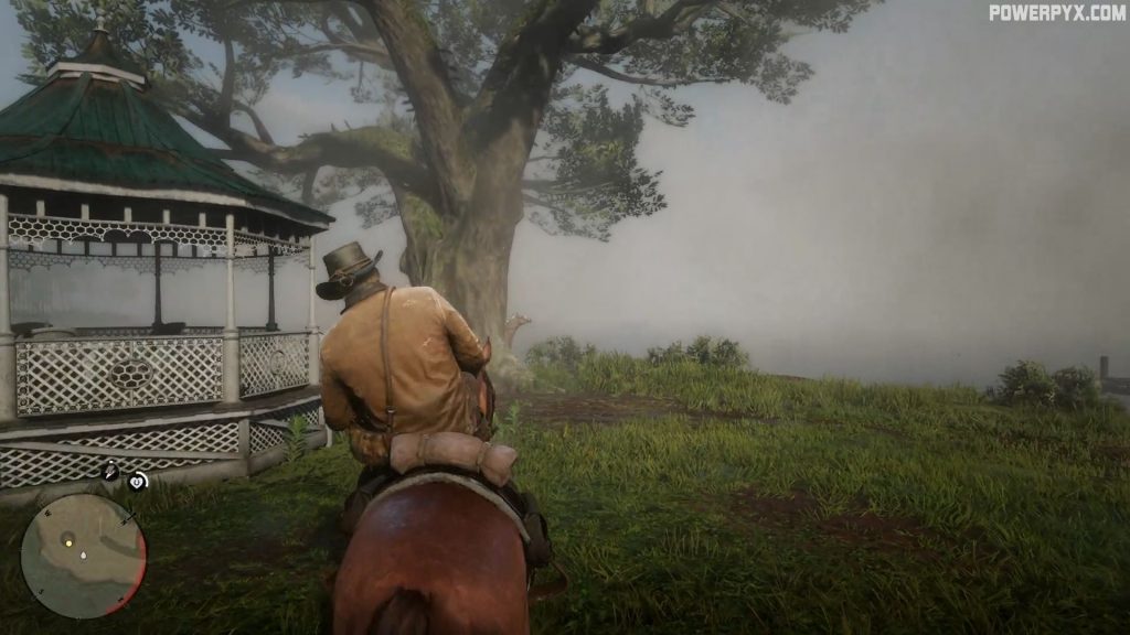 Red Dead Redemption 2 The Course of True Love – II Walkthrough