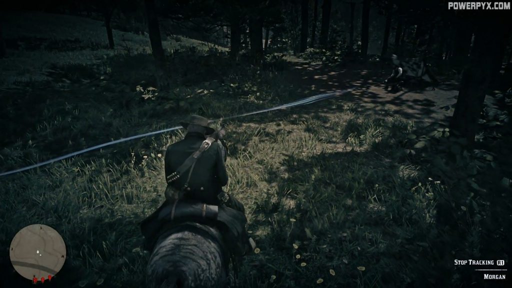 Red Dead Redemption 2 Magicians for Sport Walkthrough