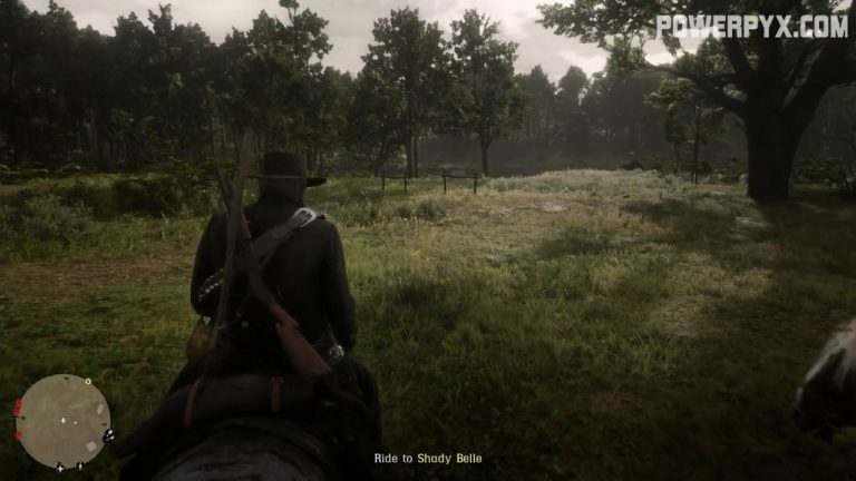 Red Dead Redemption 2 The Battle of Shady Belle Walkthrough