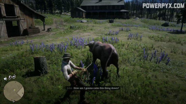 Red Dead Redemption 2 Farming, for Beginners Walkthrough