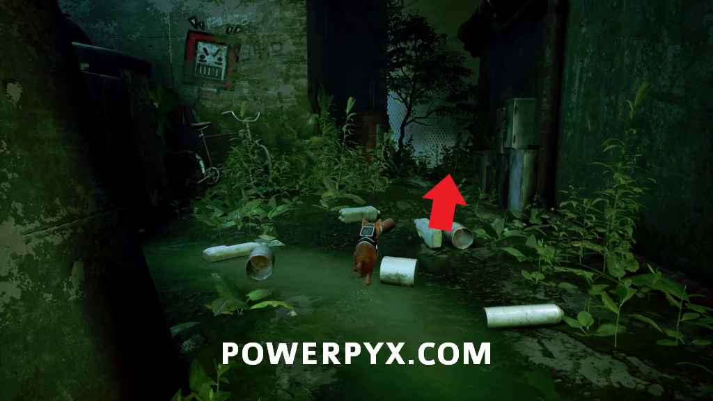 Stray Chapter 7 Walkthrough