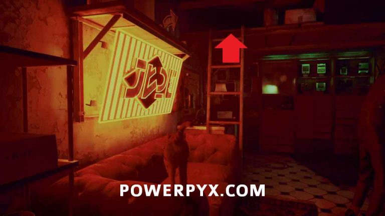 Stray Chapter 10 Walkthrough