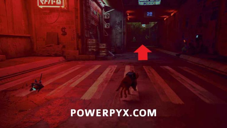 Stray Chapter 10 Walkthrough