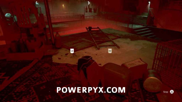 Stray Chapter 5 Walkthrough