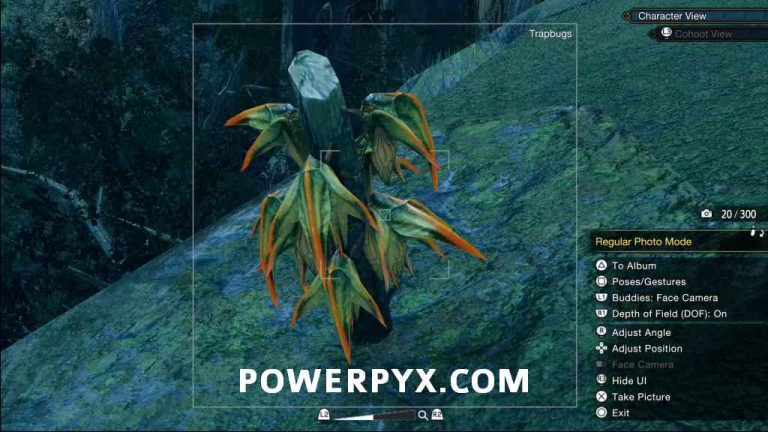 Monster Hunter Rise All Hunting Helpers Locations