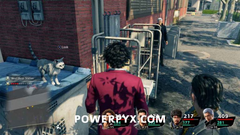 Yakuza Like a Dragon Please Find My Cat Quest Guide (Cat Locations)