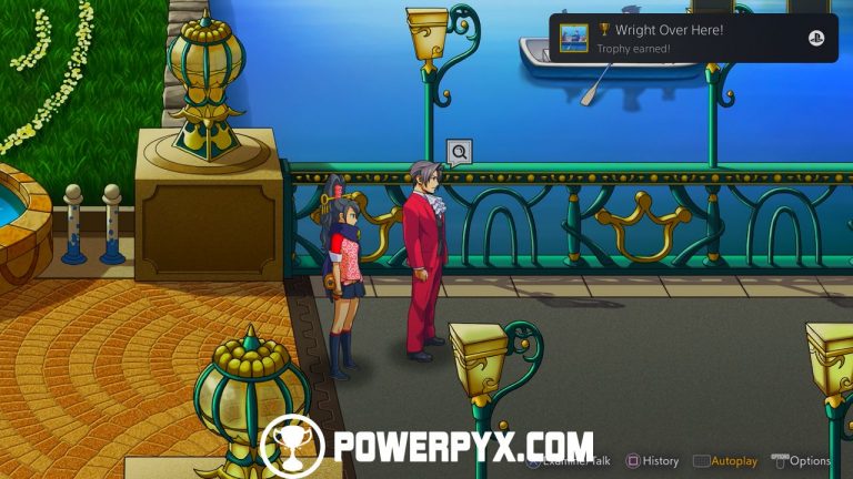 Ace Attorney Investigations Collection Trophy Guide & Roadmap