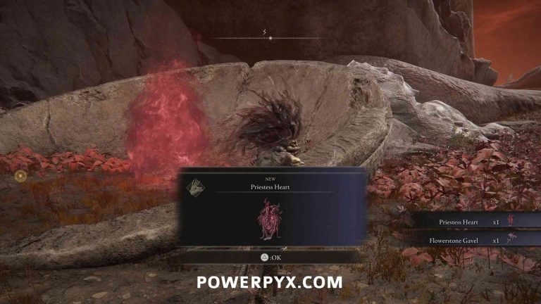 Elden Ring Shadow of the Erdtree DLC Igon Questline Walkthrough