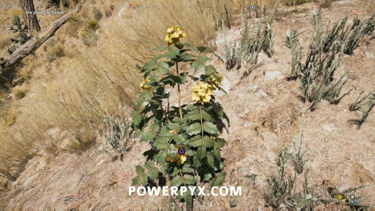 Far Cry 5: Mustard Location