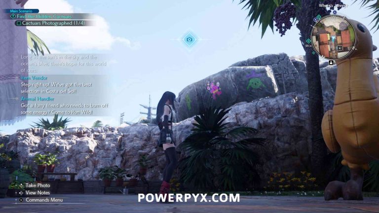 Final Fantasy 7 (VII) All Cactuar Photo Locations