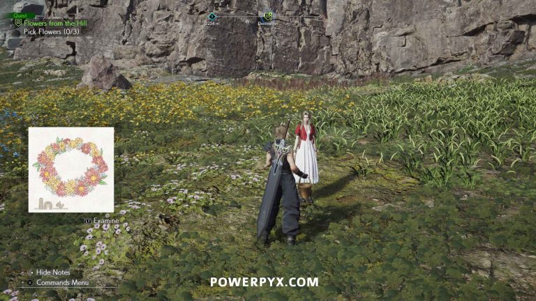 Final Fantasy 7 (VII) Rebirth Flowers from the Hill Walkthrough