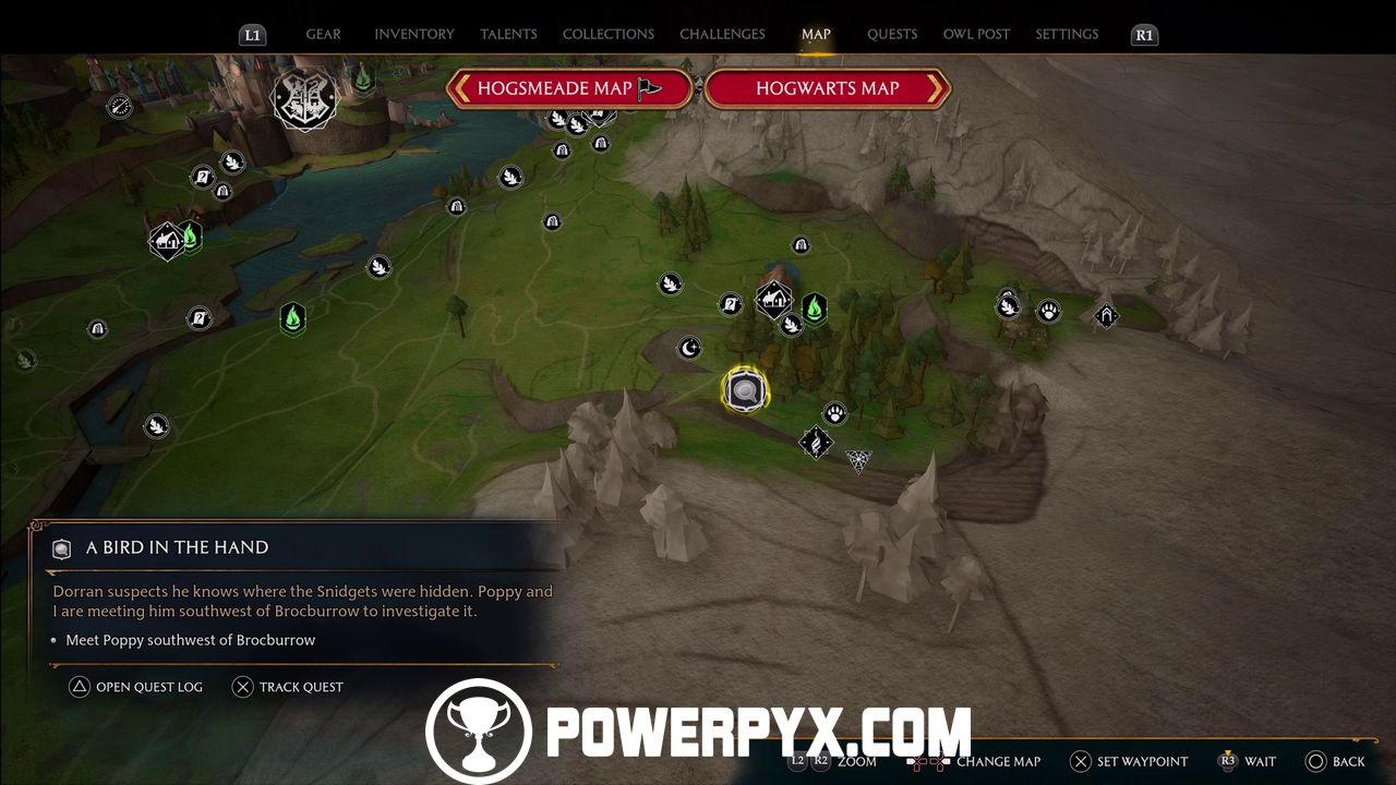 Hogwarts Legacy A Bird in the Hand Walkthrough