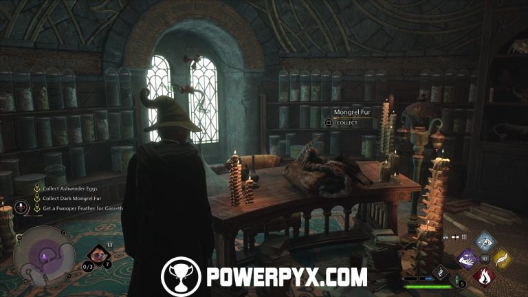 Hogwarts Legacy Potions Class Walkthrough