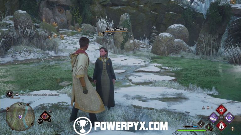 Hogwarts Legacy The Centaur and the Stone Walkthrough