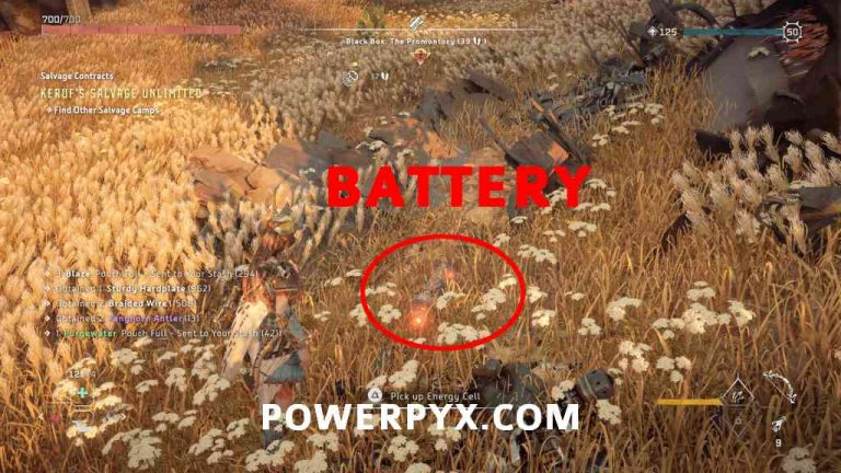 Horizon Forbidden West All Black Box Locations