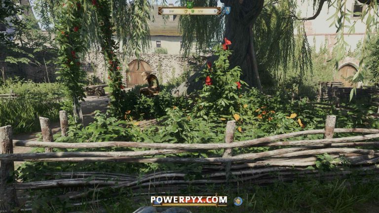 Kingdom Come Deliverance 2 Striped Tonies Walkthrough