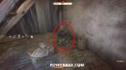 Kingdom Come Deliverance 2 Where to find Goatskin