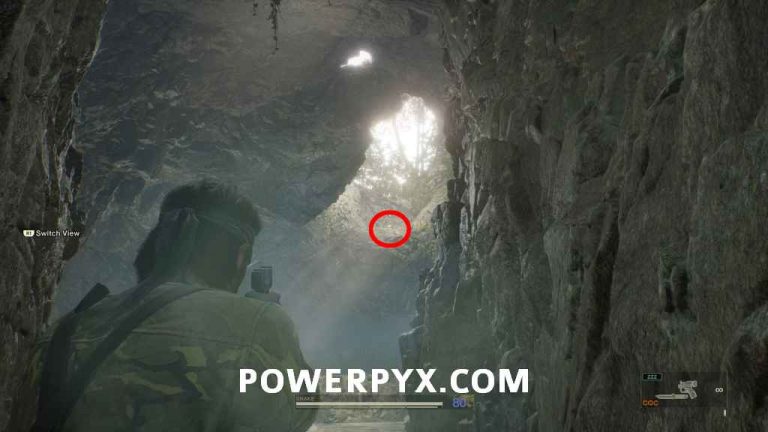 Metal Gear Solid 3 Delta Chyornaya Peschera Cave Collectible Locations