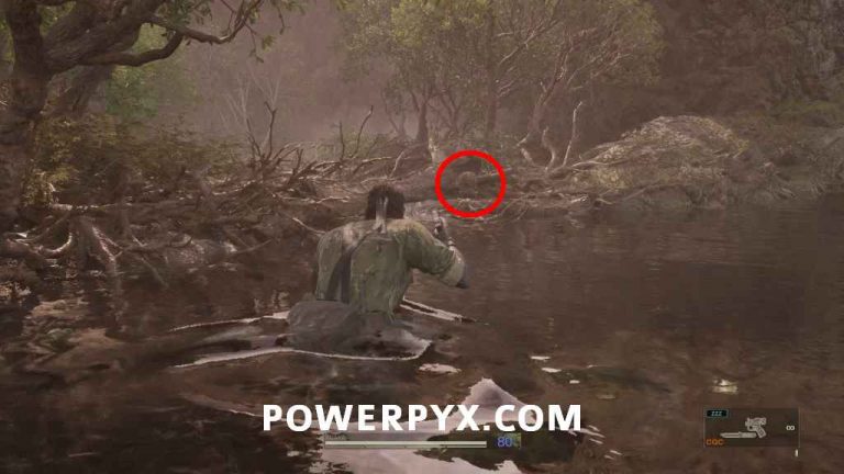 Metal Gear Solid 3 Delta All Ga-Ko Locations