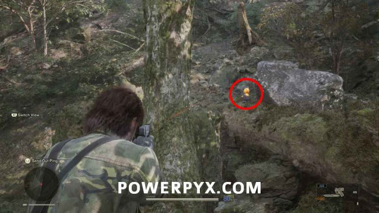 Metal Gear Solid 3 Delta All Ga-Ko Locations