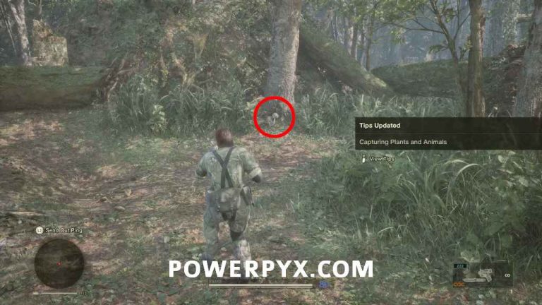 Metal Gear Solid 3 Delta All Food Locations