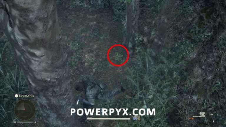 Metal Gear Solid 3 Delta All Food Locations