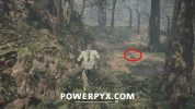 Metal Gear Solid 3 Delta All Weapon Locations