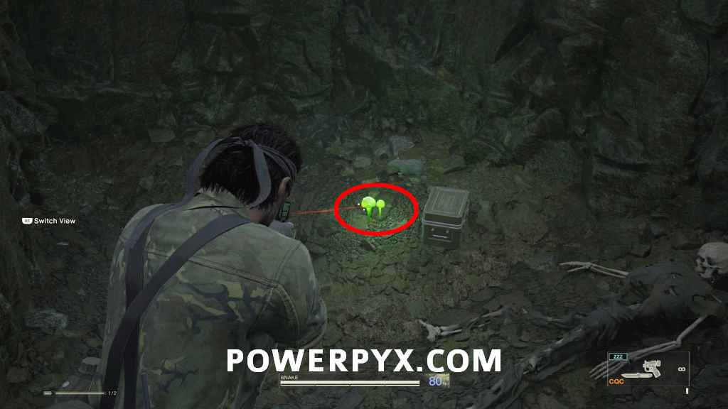 Metal Gear Solid 3 Delta Chyornaya Peschera Cave Collectible Locations