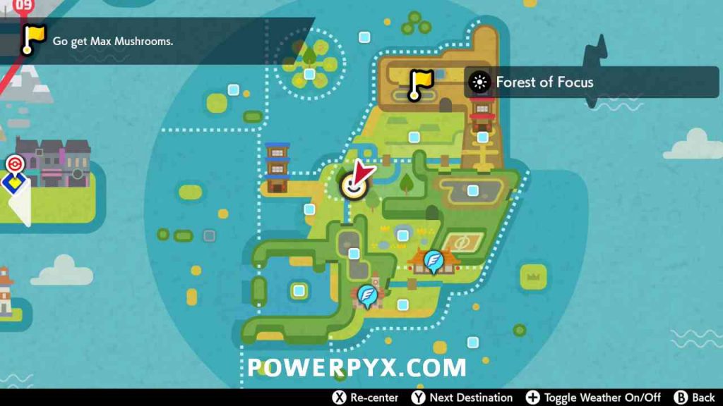 Pokemon Sword & Shield Amoongus Location