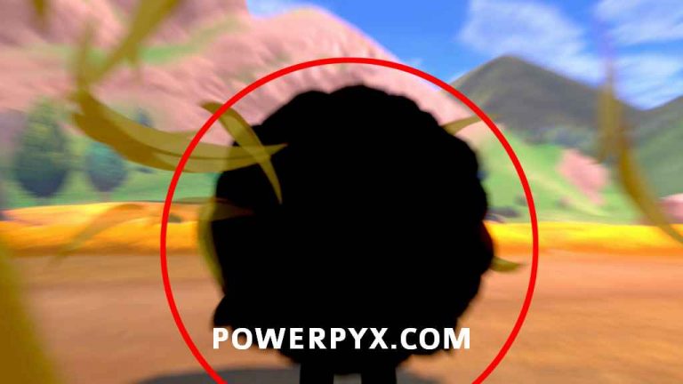 Pokemon Sword & Shield - What does Overworld / Non-Overworld Mean?