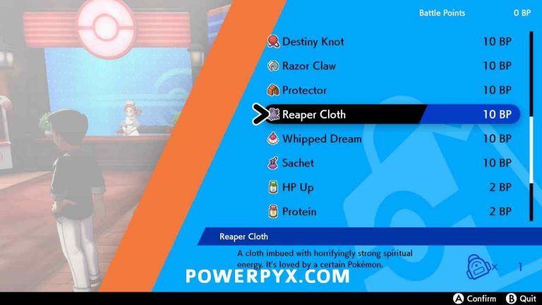 Pokemon Sword & Shield Reaper Cloth Location