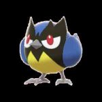 Pokemon Sword & Shield Rookidee Location