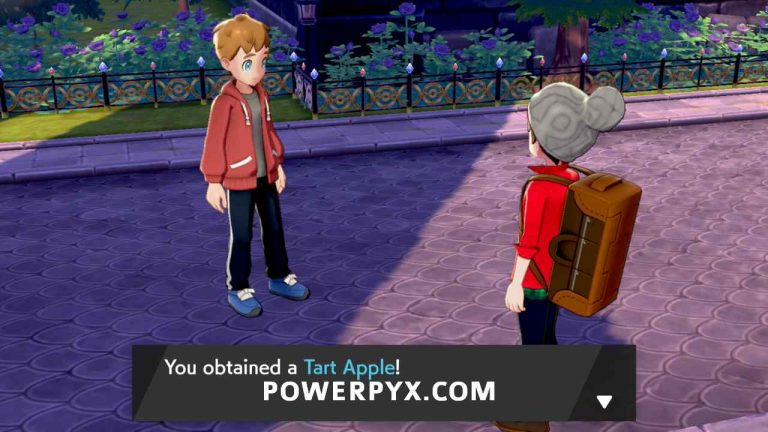 Pokemon Sword & Shield Tart Apple Location