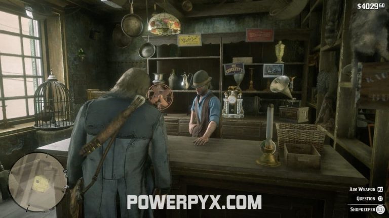 Red Dead Redemption 2 Help a Brother Out Walkthrough