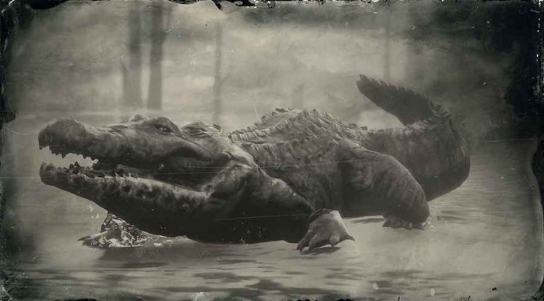 Red Dead Redemption 2 All Animal Locations (Zoologist & Skin Deep)