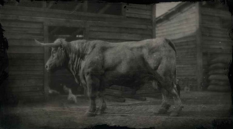 Red Dead Redemption 2 All Animal Locations (Zoologist & Skin Deep)