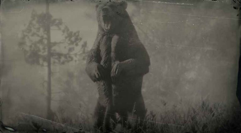 Red Dead Redemption 2 All Animal Locations (Zoologist & Skin Deep)