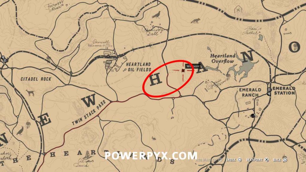 Red Dead Redemption 2 All Animal Locations (Zoologist & Skin Deep)