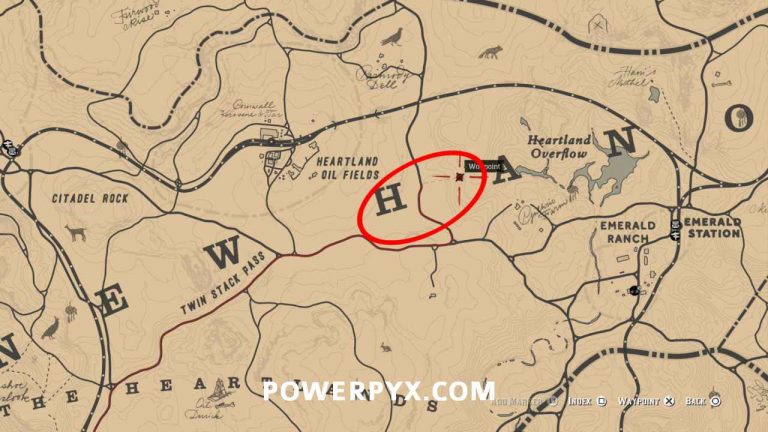 Red Dead Redemption 2 All Animal Locations (Zoologist & Skin Deep)