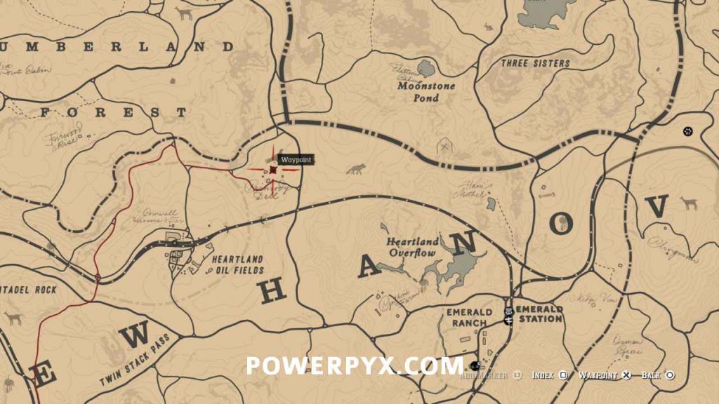 Red Dead Redemption 2 All Animal Locations (Zoologist & Skin Deep)